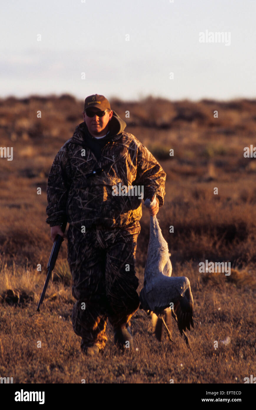 Crane hunting hi-res stock photography and images - Alamy