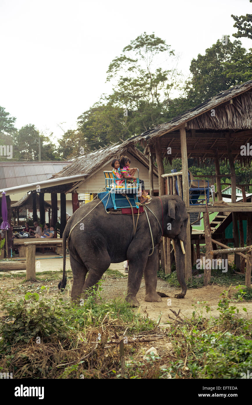 Thailand elephant kids hi-res stock photography and images - Alamy