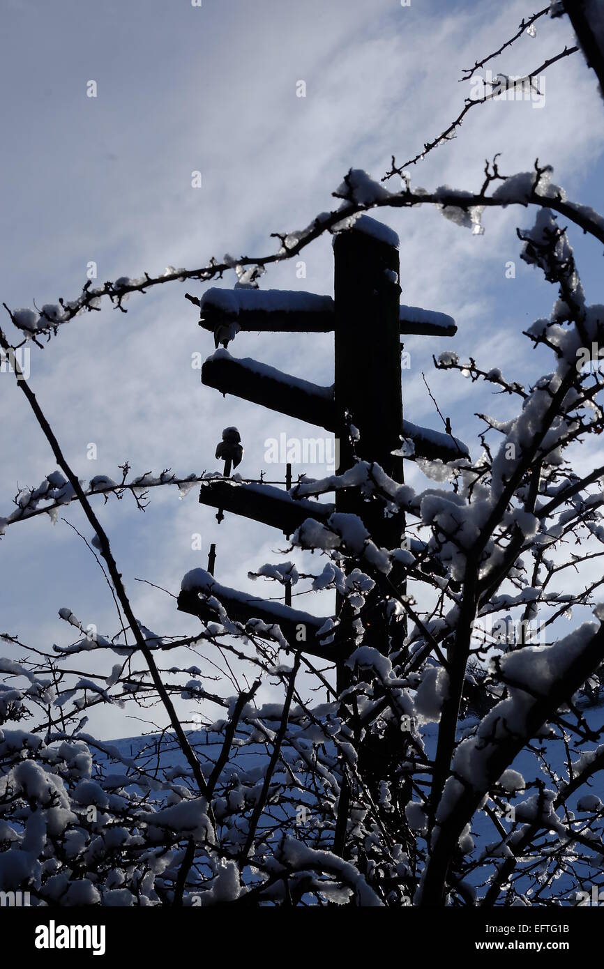 Old railway telegraph pole in the snow Stock Photo - Alamy