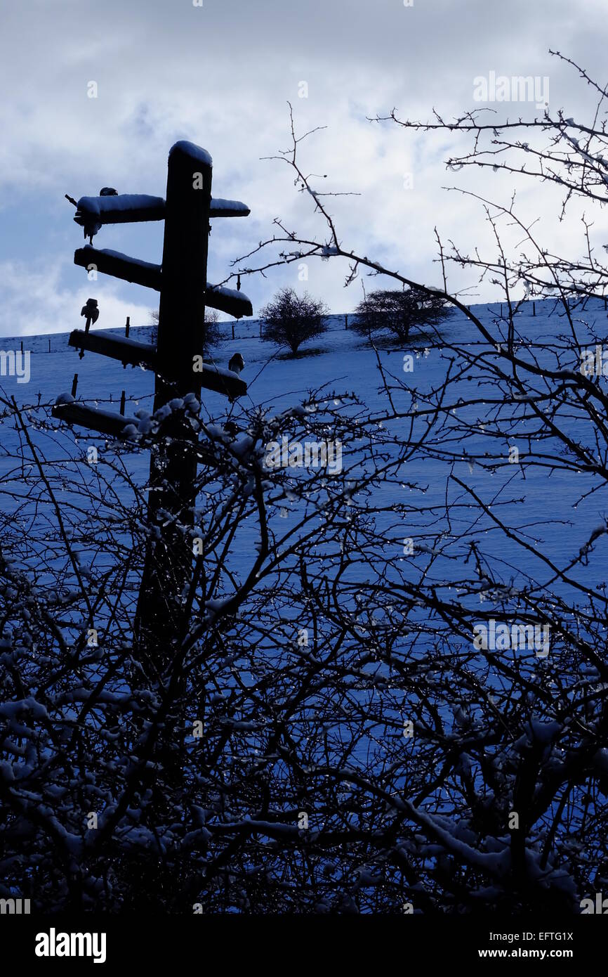 Old railway telegraph pole in the snow Stock Photo - Alamy