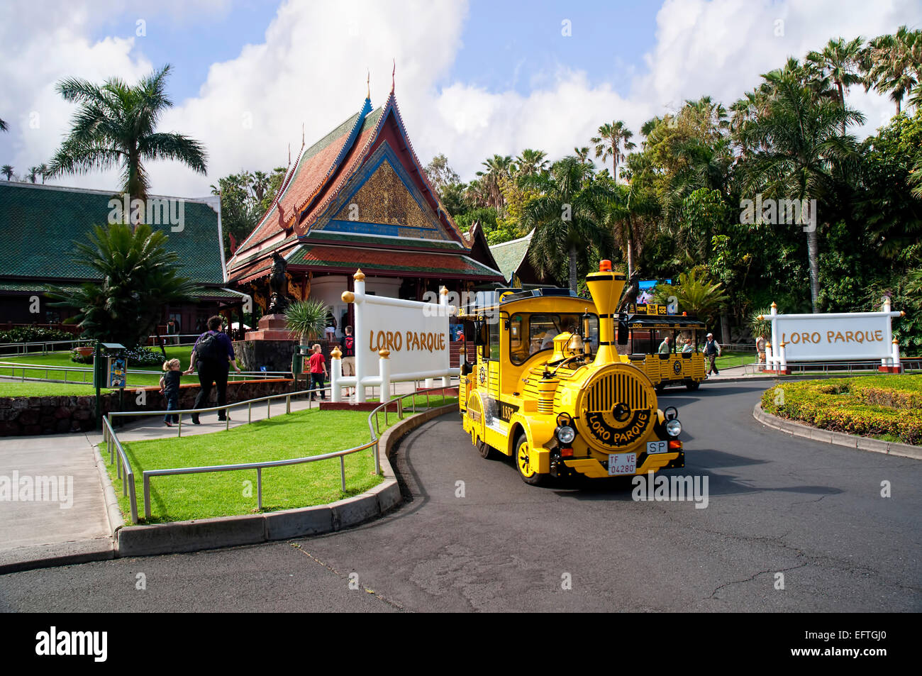 Train to tropical Gardens on Tenerife in the Canary Islands Spain Stock ...
