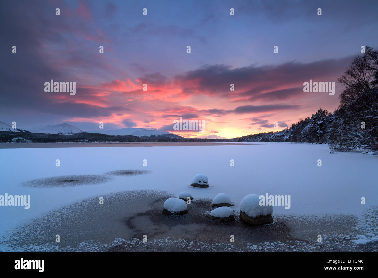 Mid-winter sunset over Loch Morlich, Glenmore, Cairngorms National park ...
