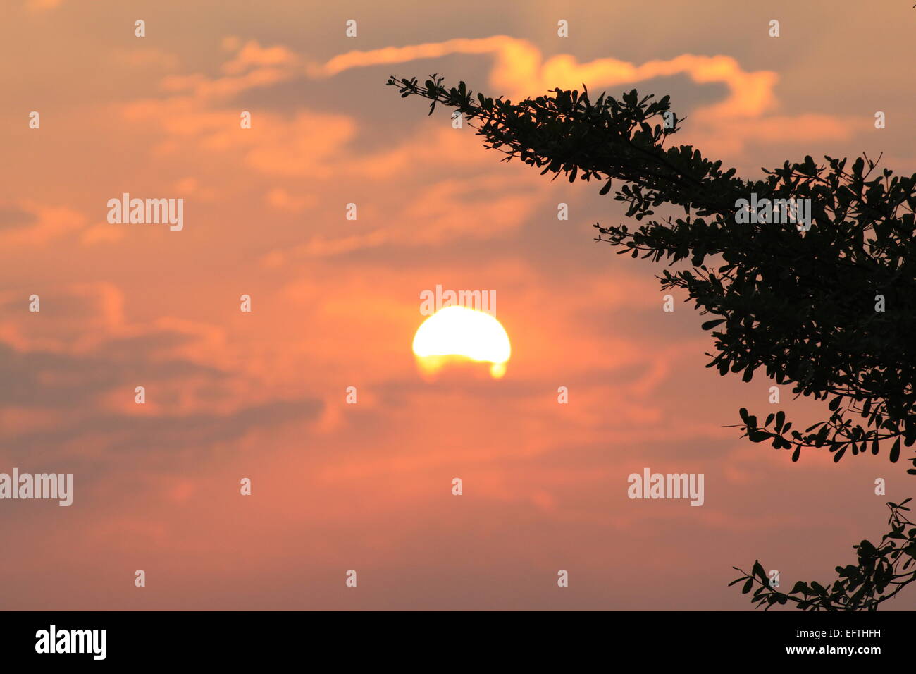 Summer time morning hi-res stock photography and images - Alamy