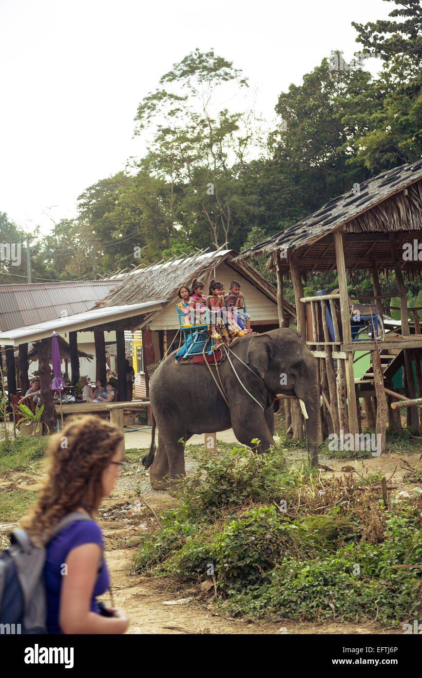 Local children riding an elephant, Ko (Koh) Lanta, Thailand Stock Photo ...