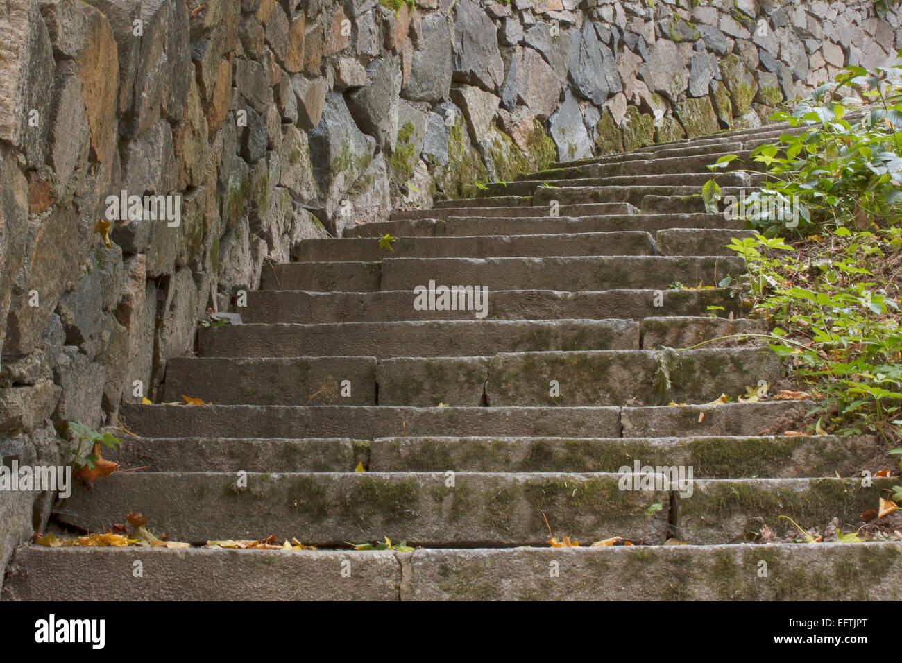 View up steps hi-res stock photography and images - Alamy