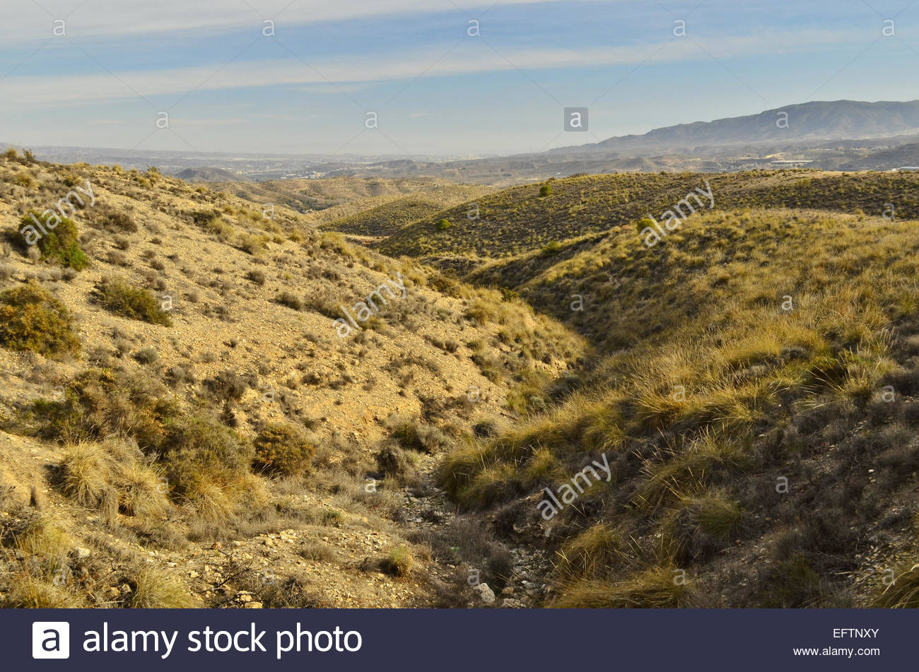 Arid Soils High Resolution Stock Photography and Images - Alamy