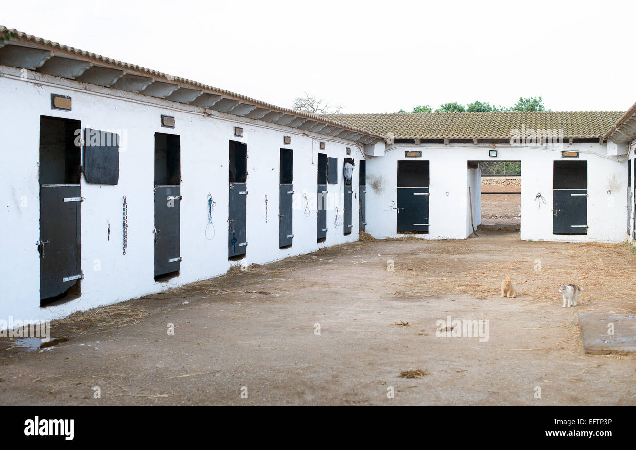 View of modern stables with horses Stock Photo - Alamy