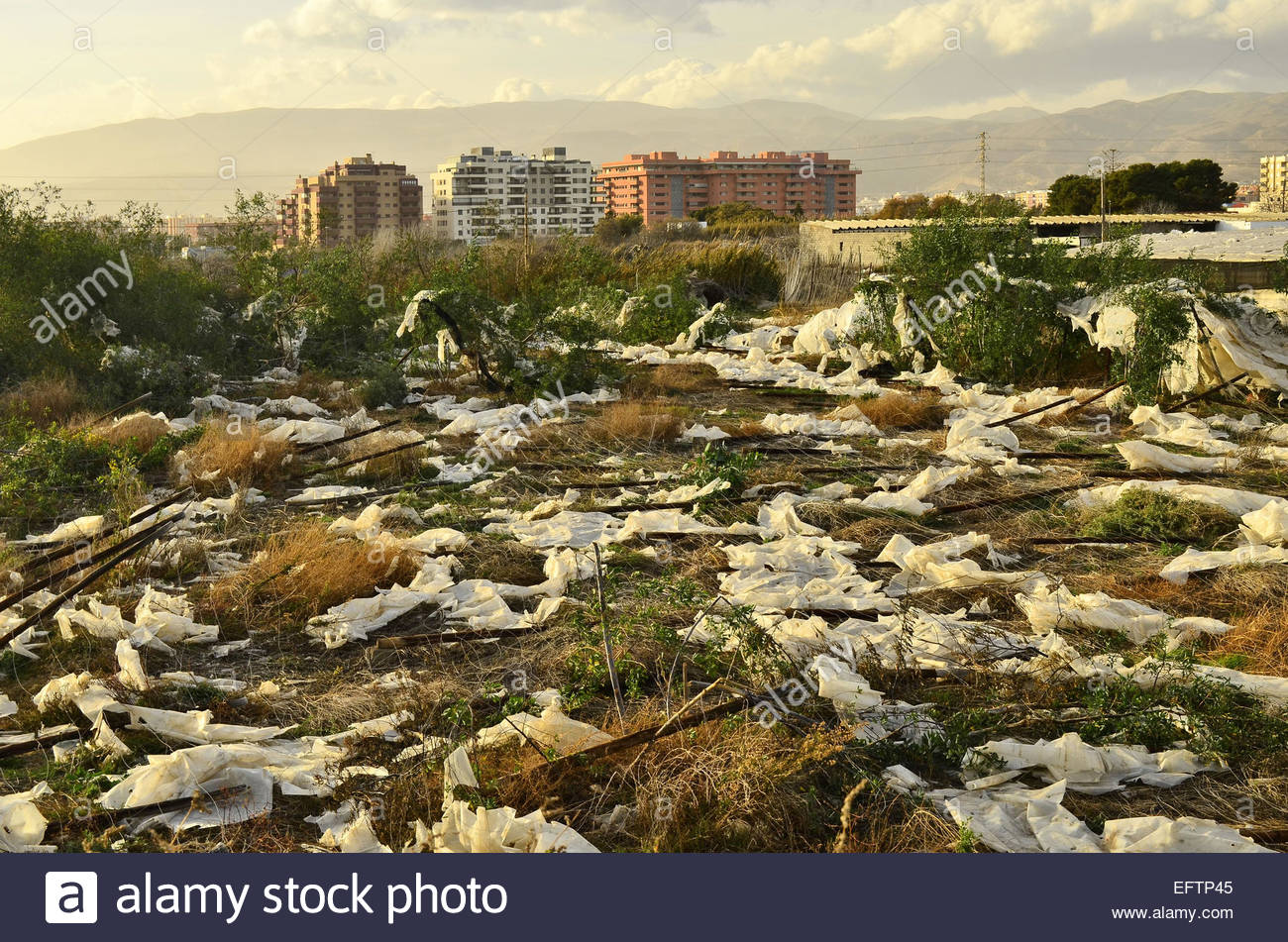 Greenhouses Almeria Spain High Resolution Stock Photography and Images ...
