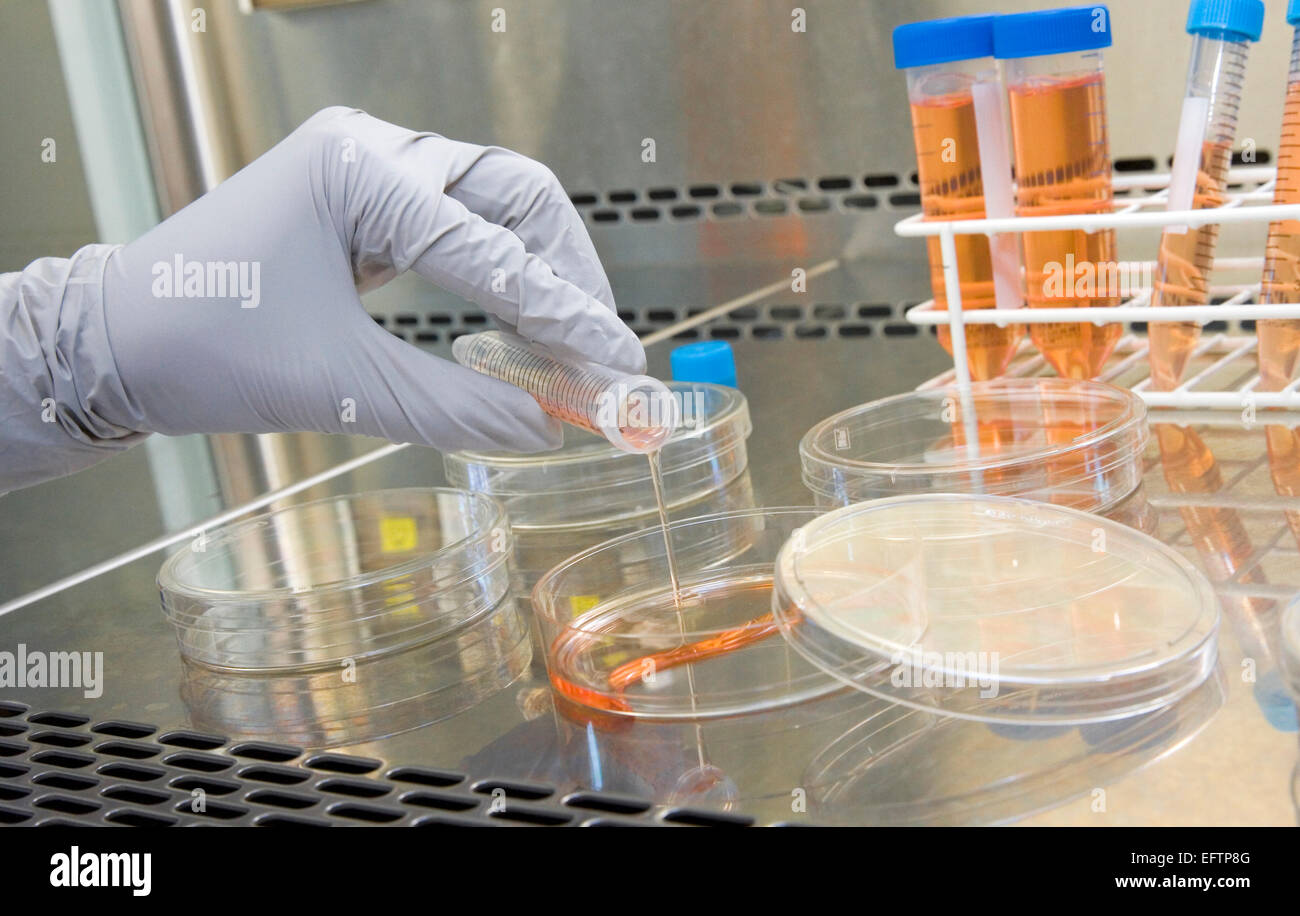 Cancer research lab hi-res stock photography and images - Alamy