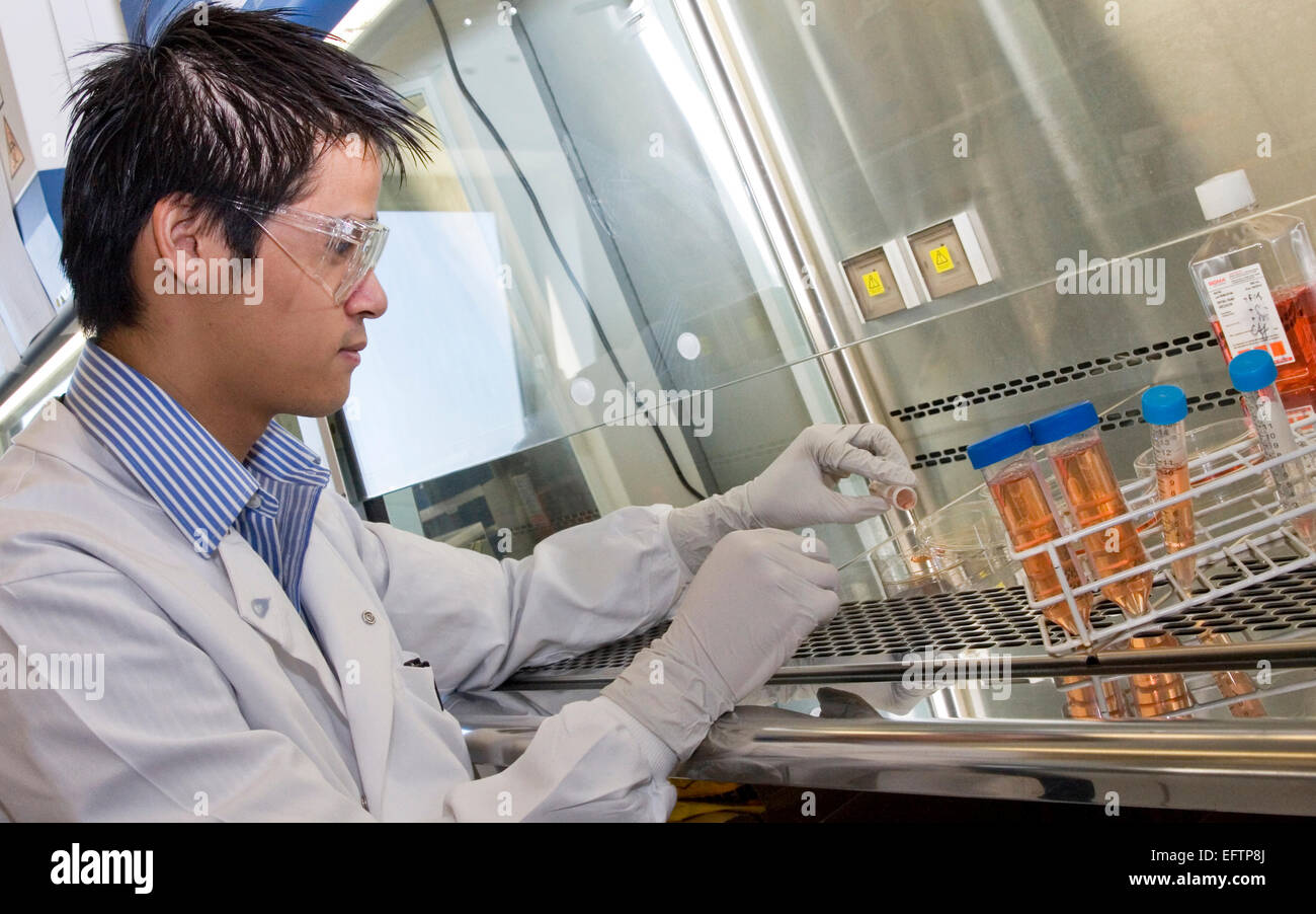 Research Department of Cancer Biology, UCL Cancer Institute Paul O’Go ...