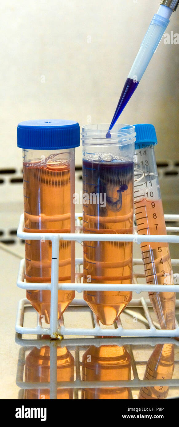 Scientists lab genetics hi-res stock photography and images - Alamy