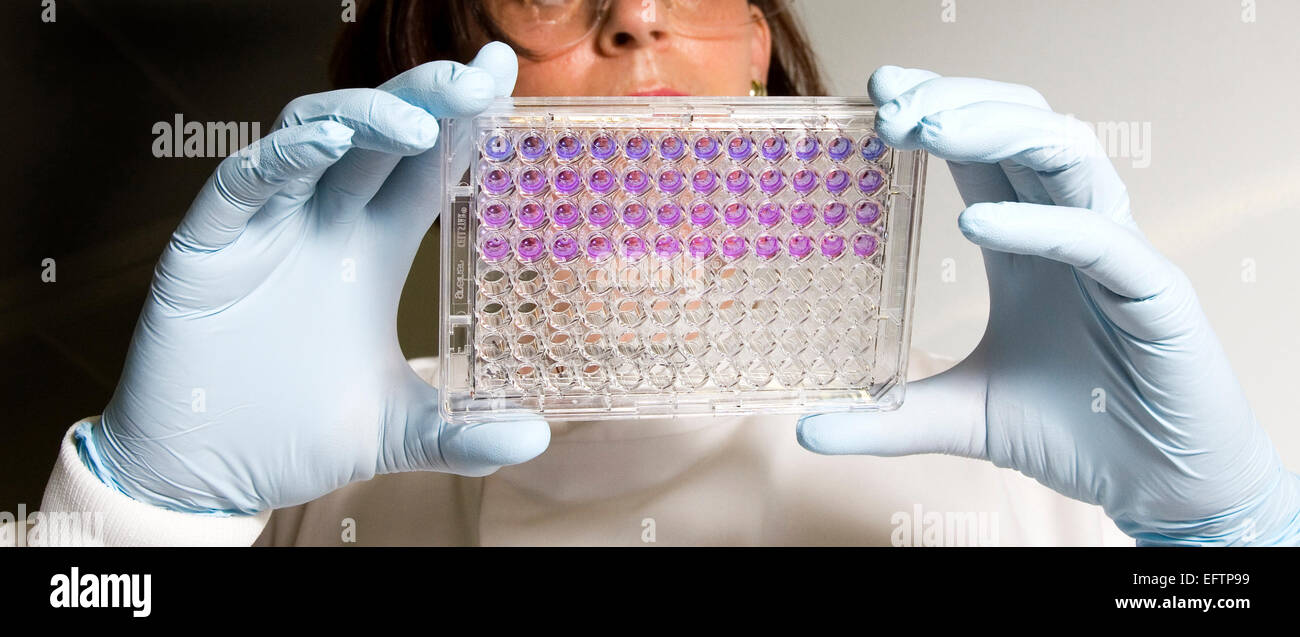 Research Department of Cancer Biology, UCL Cancer Institute Paul O’Go ...