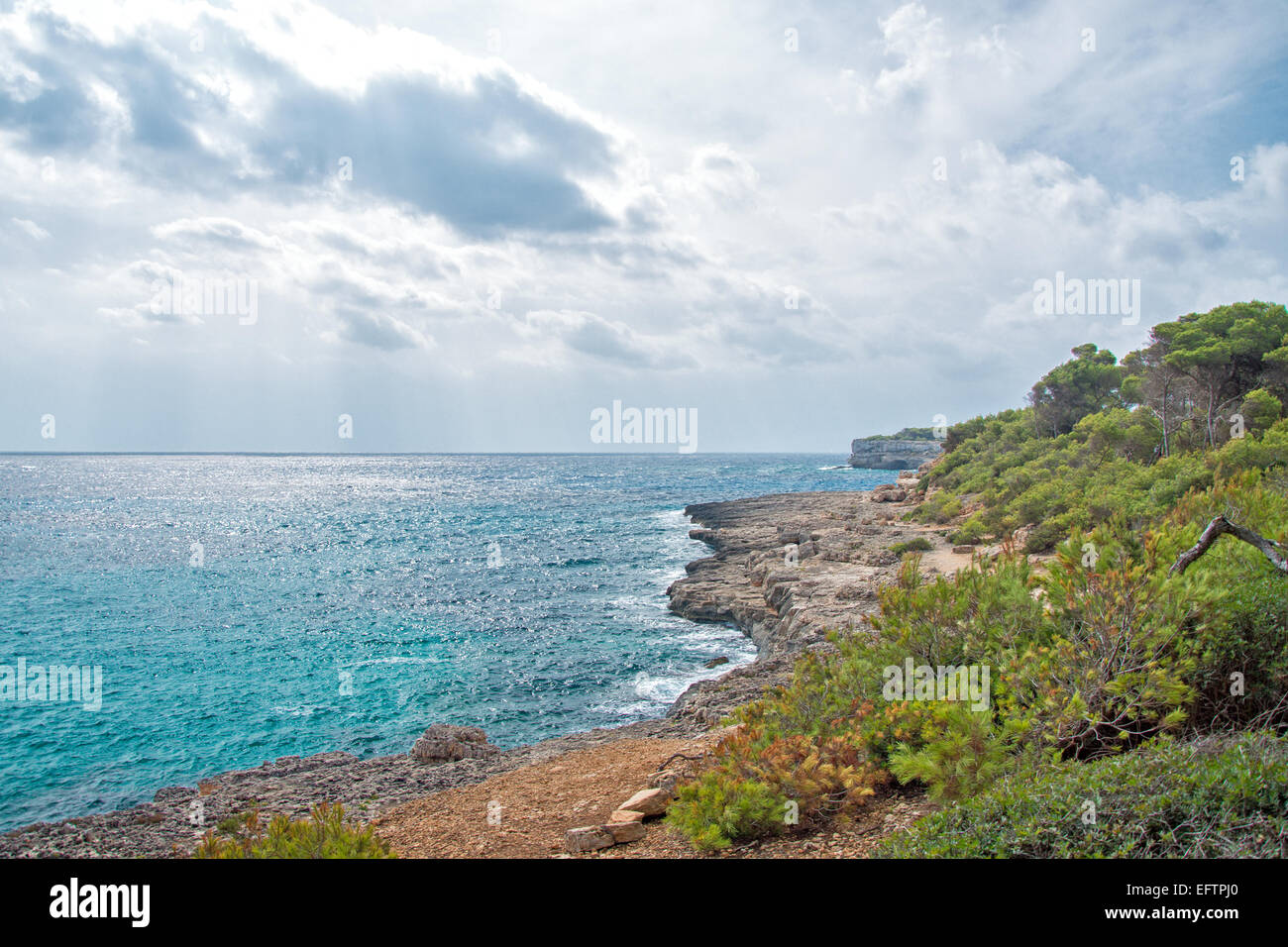 Wild coast scenery landscape hi-res stock photography and images - Alamy