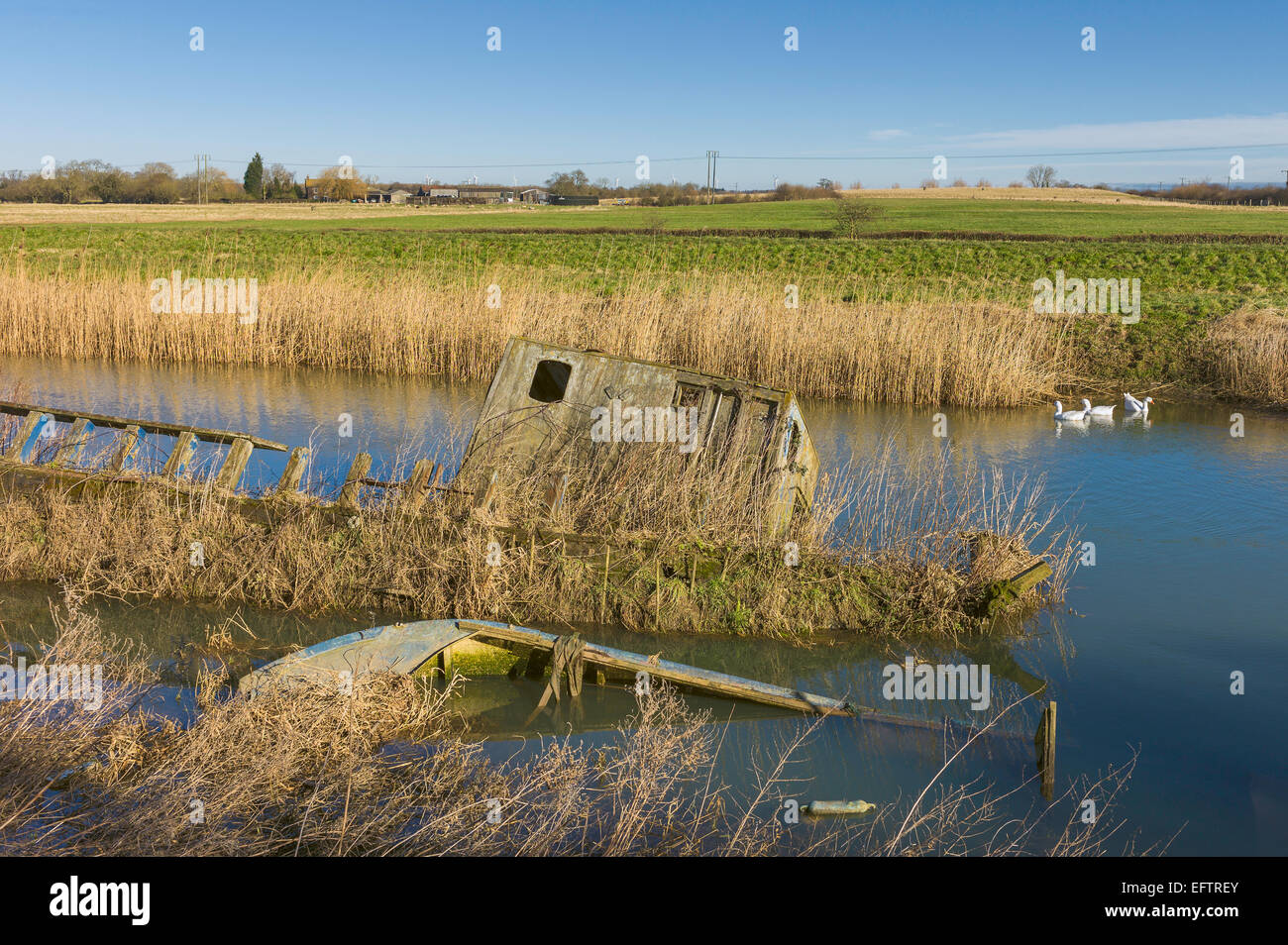 Derelict barge and detritus on the river Hull flanked by agricultural ...