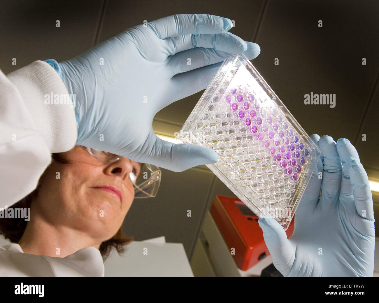 Research Department of Cancer Biology, UCL Cancer Institute Paul O’Go ...