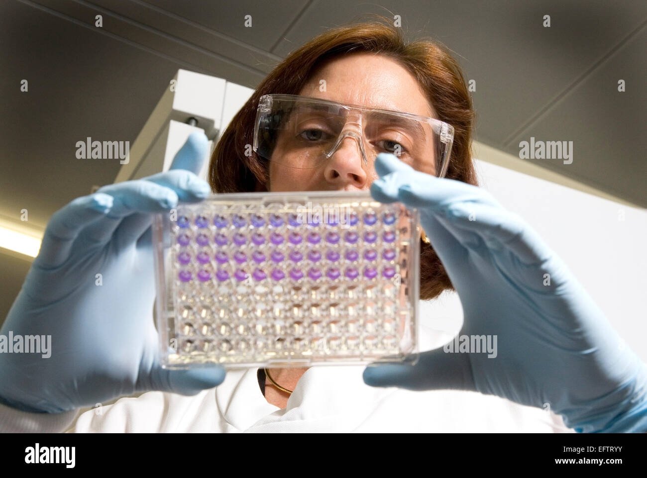 Research Department of Cancer Biology, UCL Cancer Institute Paul O’Go ...