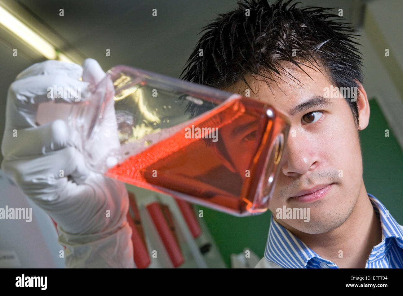 Research Department of Cancer Biology, UCL Cancer Institute Paul O’Go ...