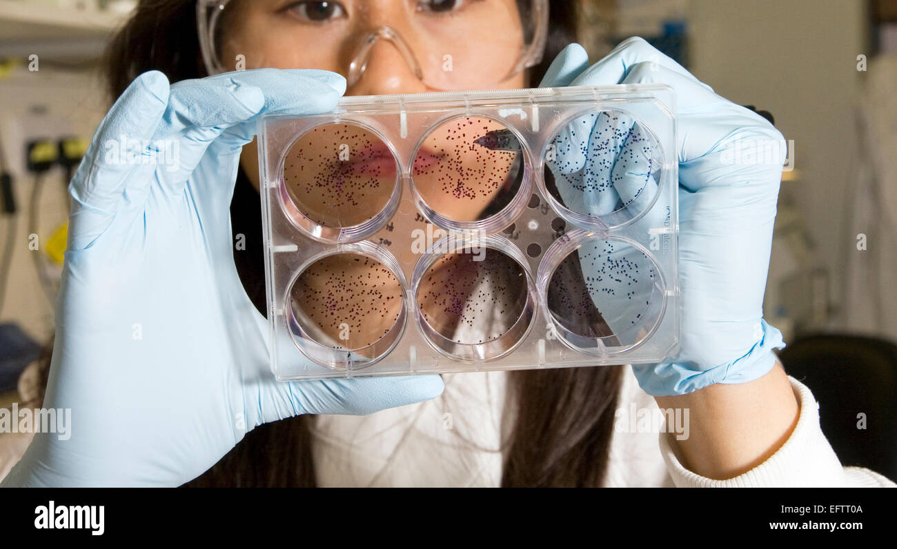 Research Department of Cancer Biology, UCL Cancer Institute Paul O’Go ...