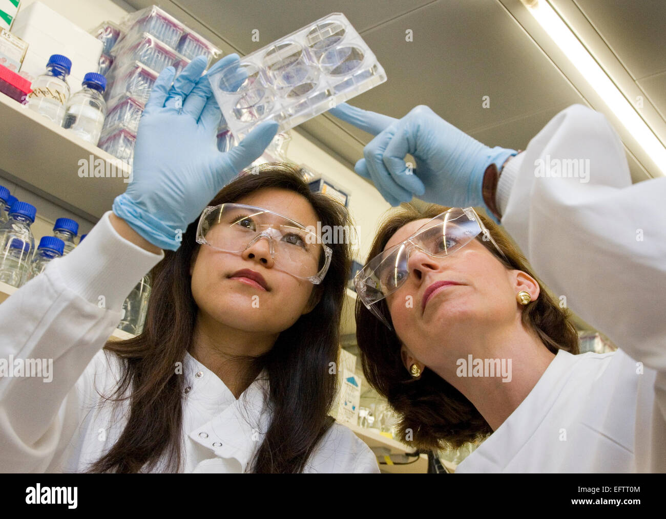 Research Department of Cancer Biology, UCL Cancer Institute Paul O’Go ...