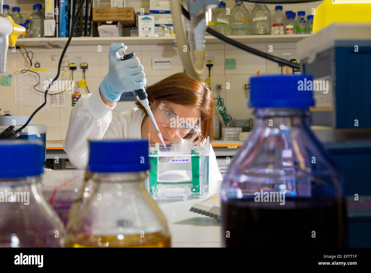 Cancer research lab hi-res stock photography and images - Alamy