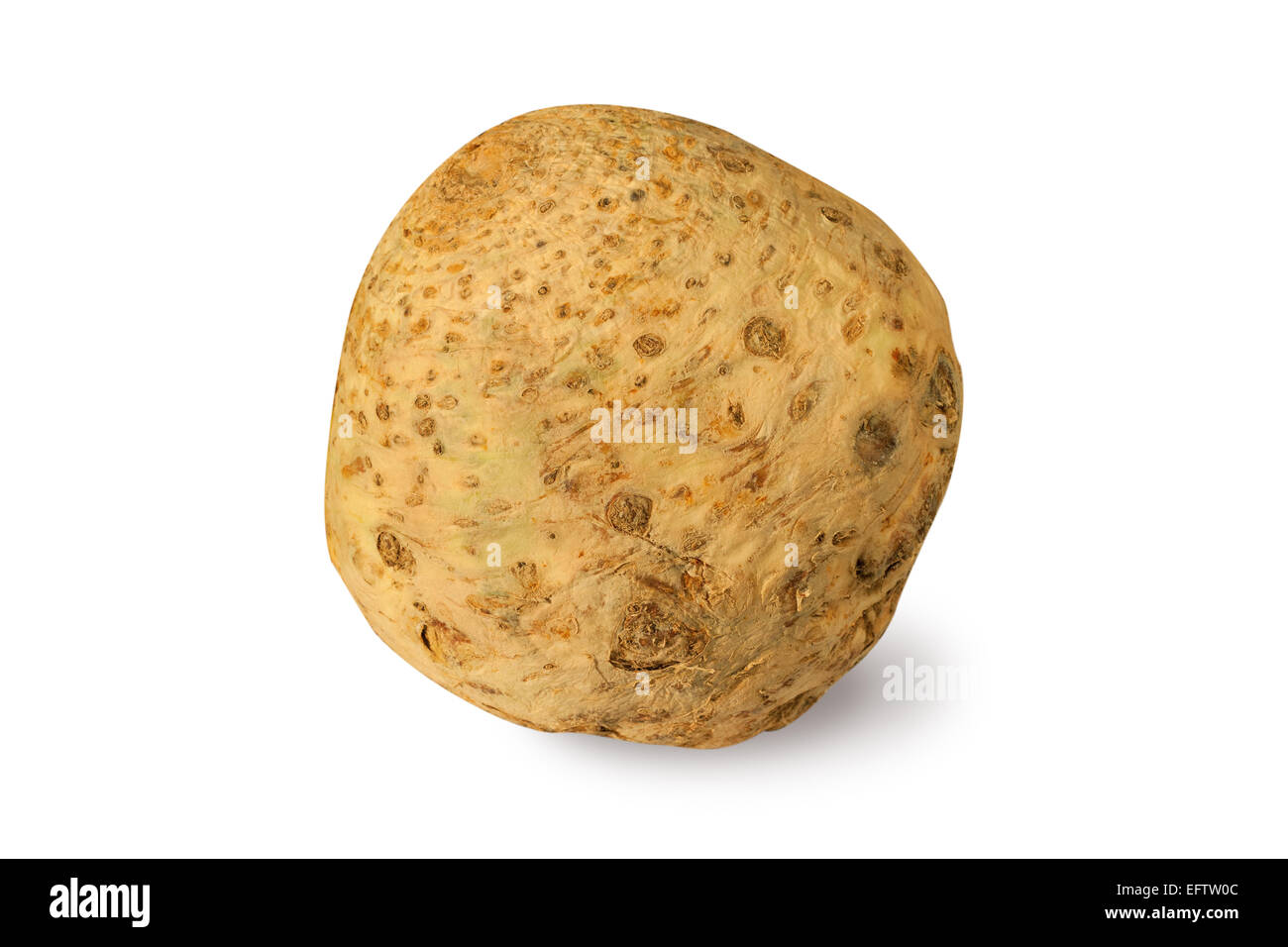 Celery Bulb High Resolution Stock Photography and Images - Alamy