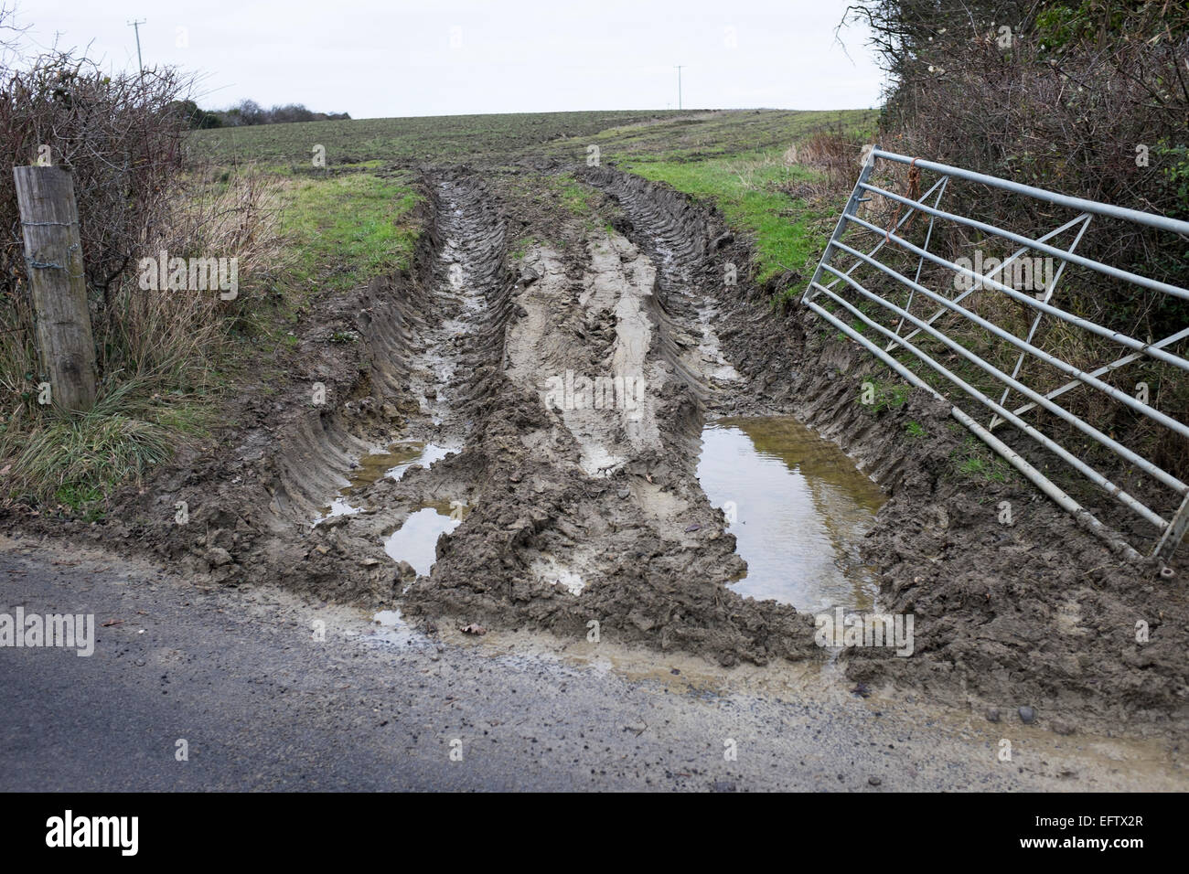 Tractor tracks muddy field hi-res stock photography and images - Alamy