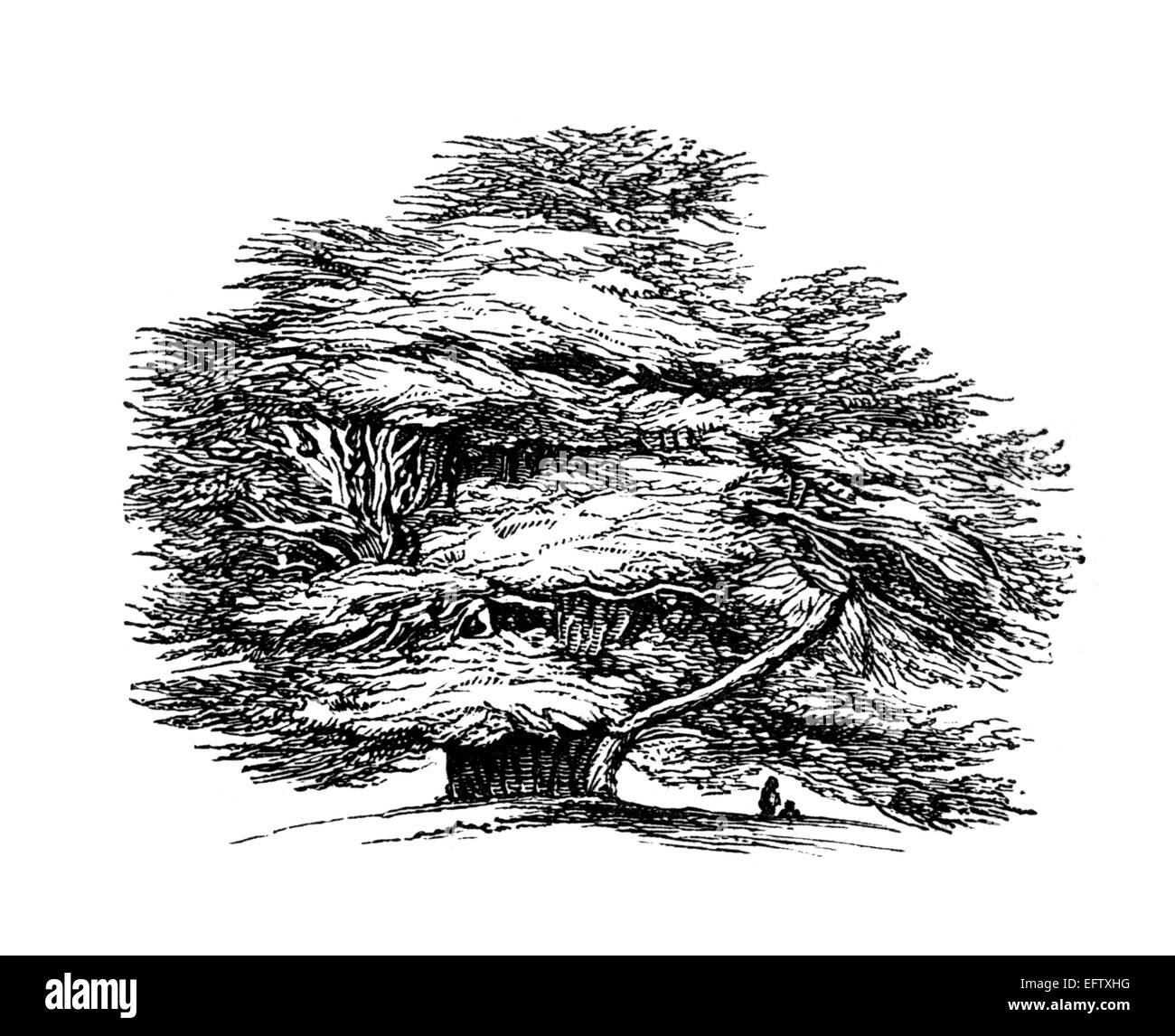 Engraving landscape Black and White Stock Photos & Images - Alamy