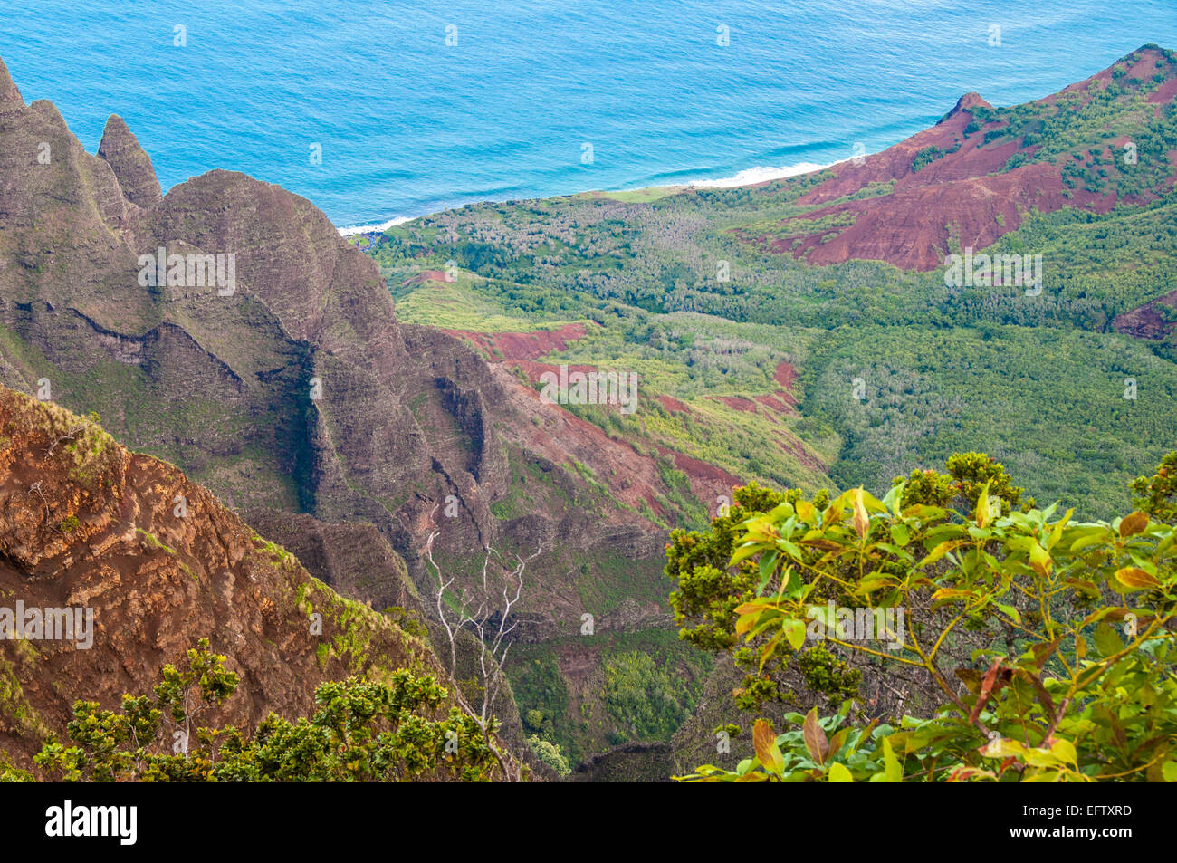 Kalalau valley and beach hi-res stock photography and images - Alamy