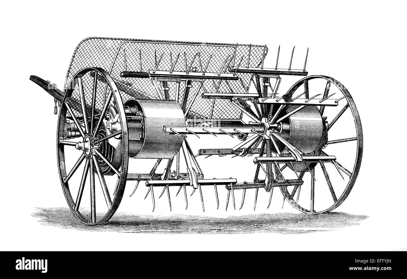 Victorian engraving of a hay maker. Digitally restored image from a mid ...