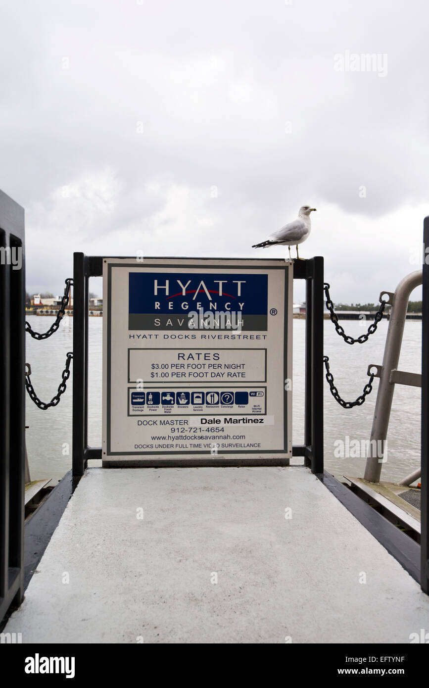 A Sign for Hyatt Regency River Street Docks on the Savannah Georgia ...
