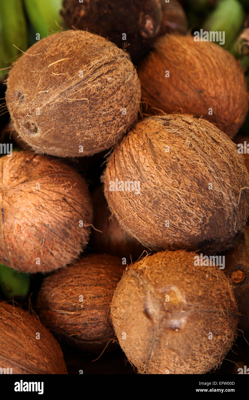 A pile of coconuts on a stall in a Caribbean Market Stock Photo - Alamy