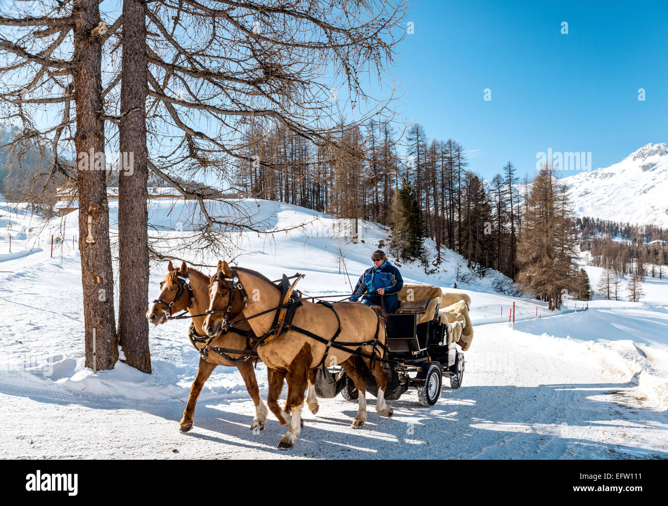 Val fex and horse hi-res stock photography and images - Alamy