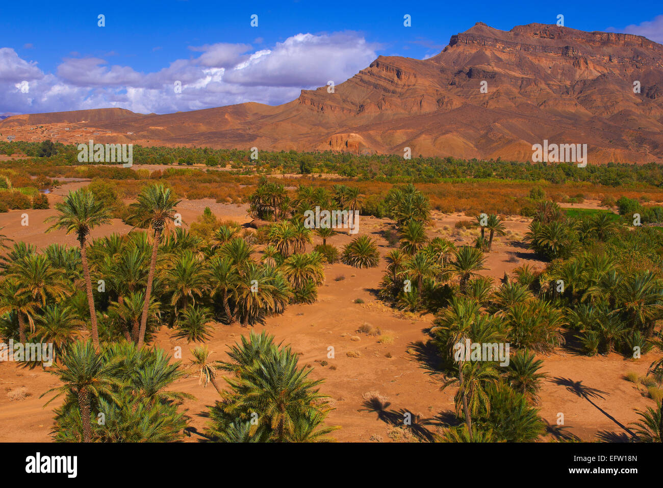 Djebel Kissane, Agdz, Palm Grove, Oasis, Draa Valley, Souss-Massa-Dra ...