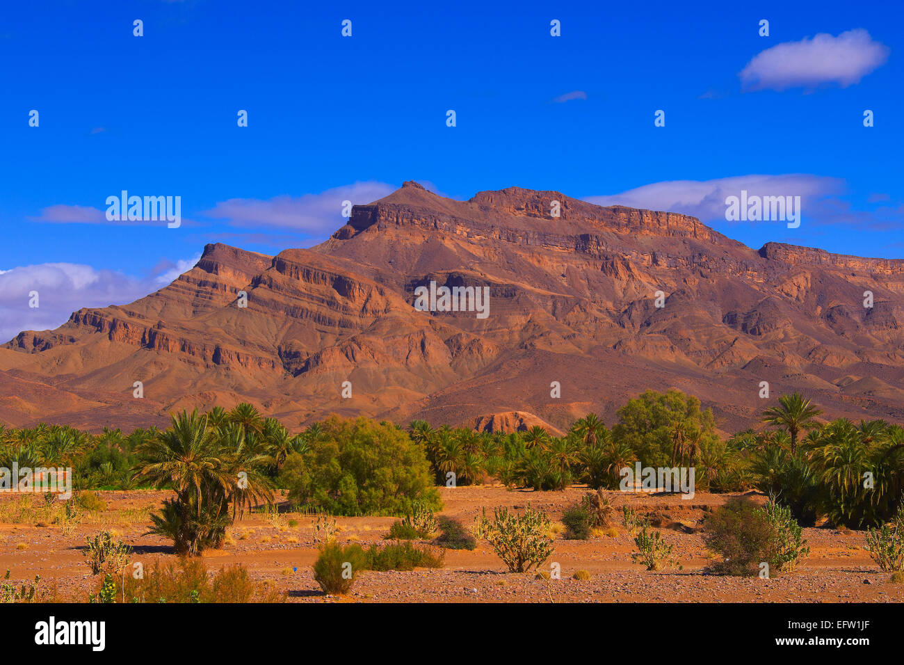 Djebel Kissane, Agdz, Palm Grove, Oasis, Draa Valley, Souss-Massa-Dra ...