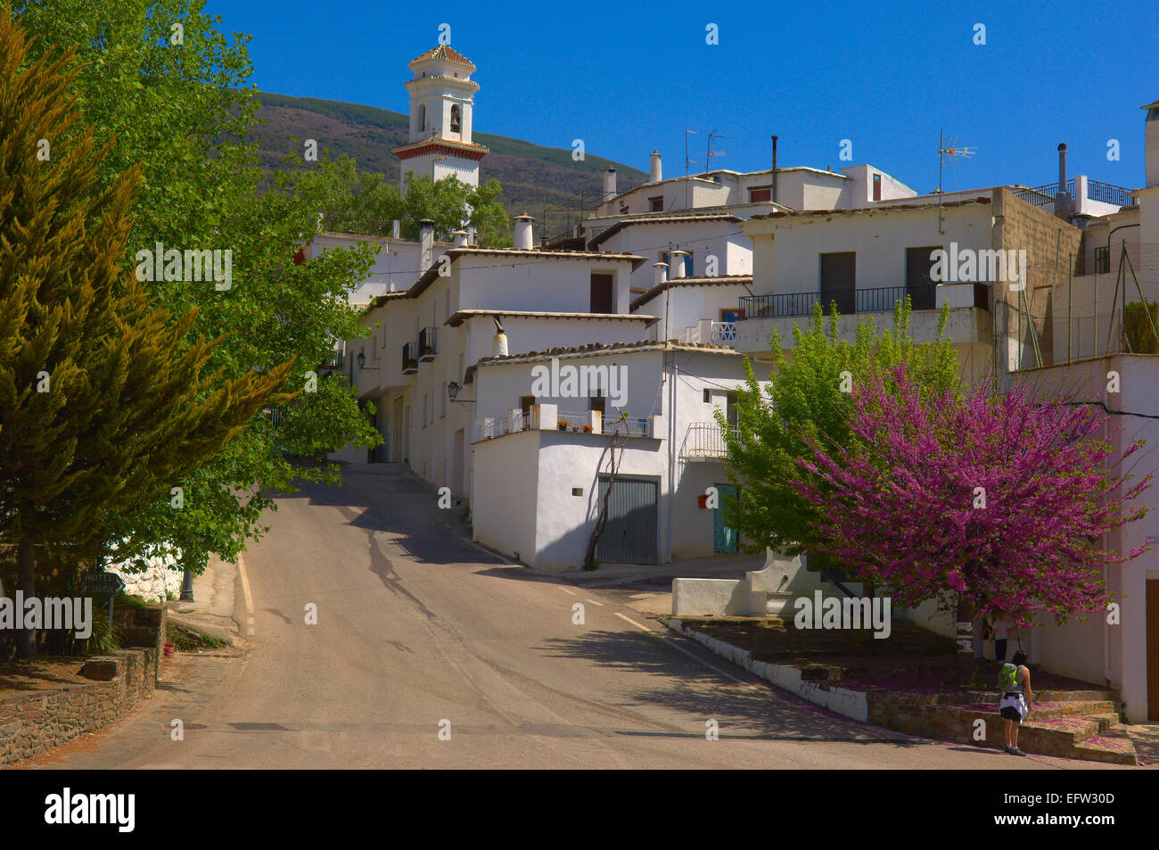 Pitres, Alpujarras Mountains area, Granada province, Andalusia, Spain ...
