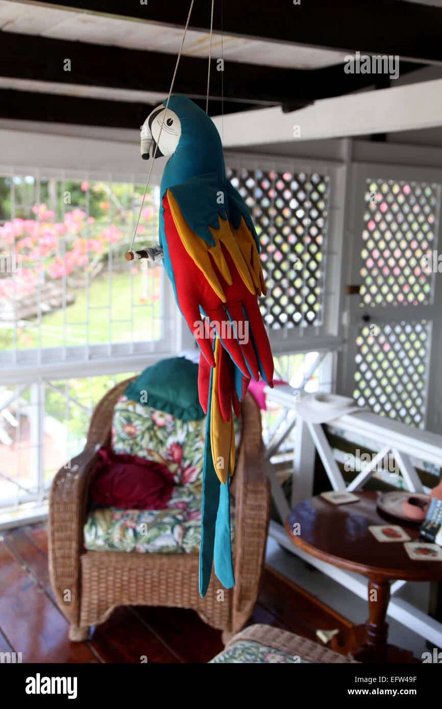 Polly Parrot