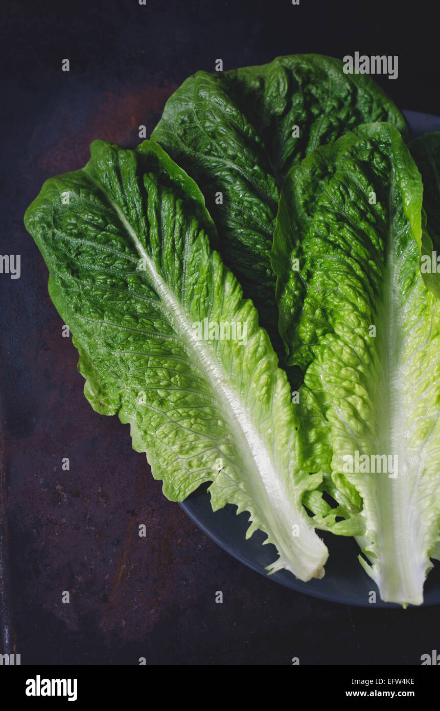 Lettuce leaves hi-res stock photography and images - Alamy