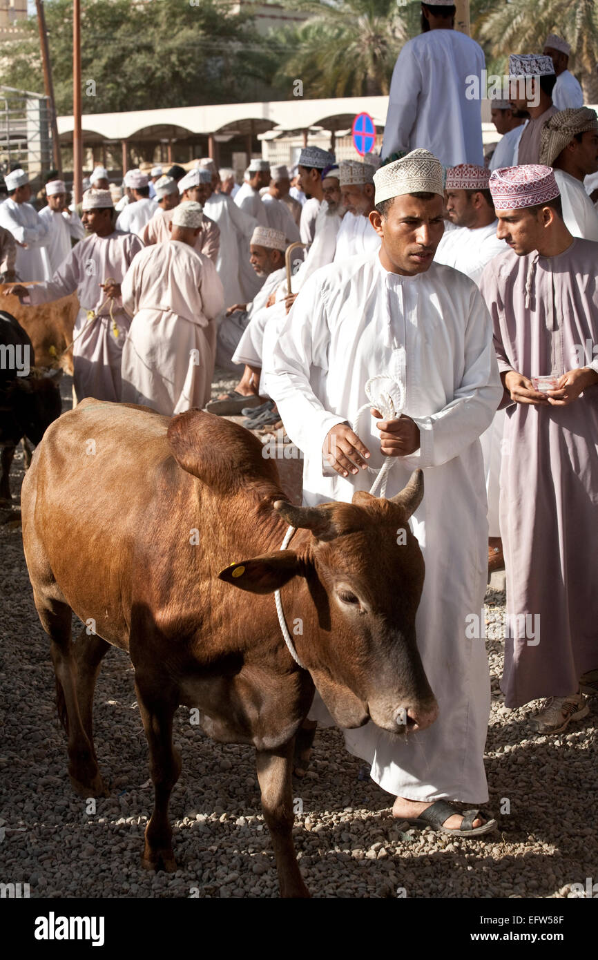 Cattle market Nizwas Oman Stock Photo - Alamy