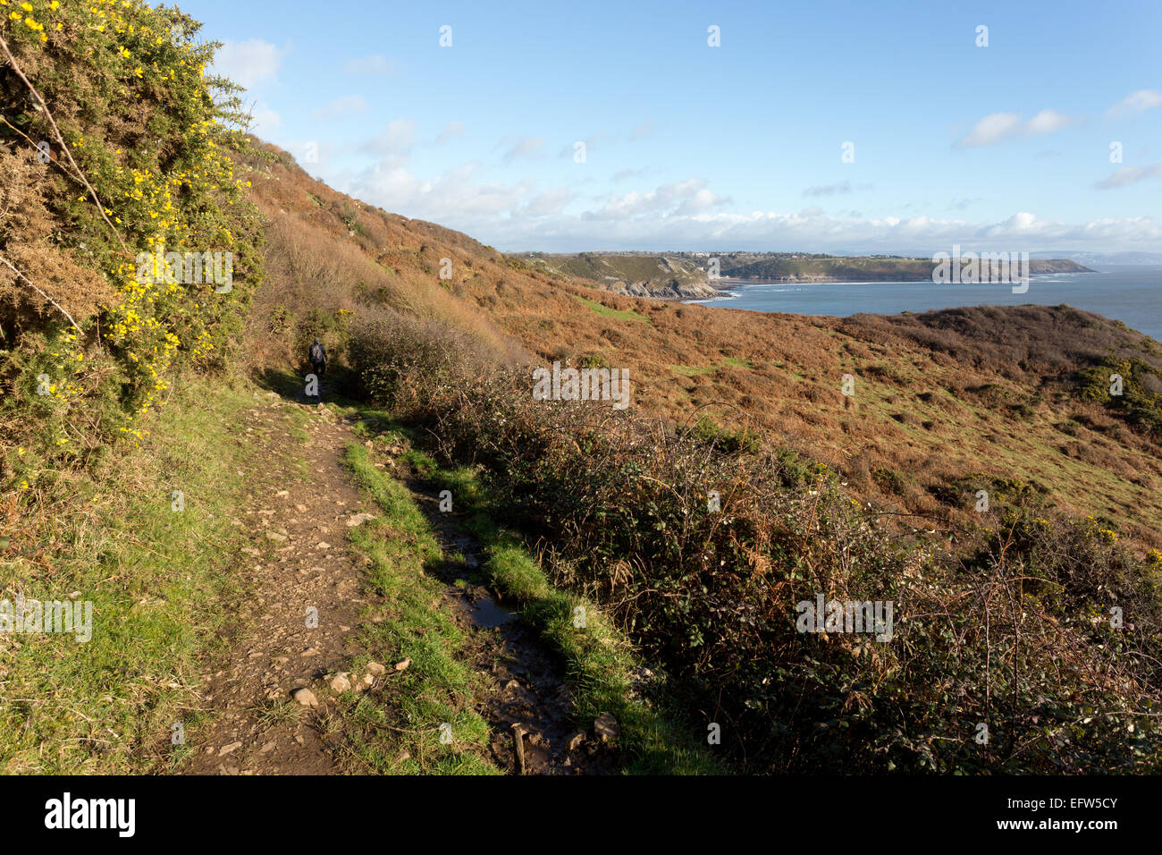 The magnificent scenery on the South Wales Coast Path dwarfs a walker ...