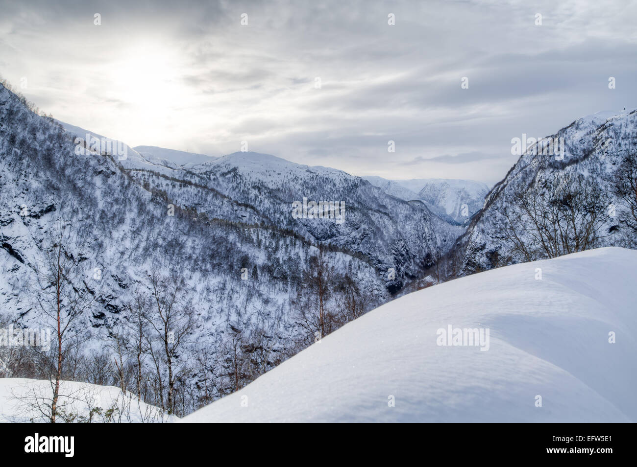 Picture of a vally with snowy mountains Stock Photo - Alamy