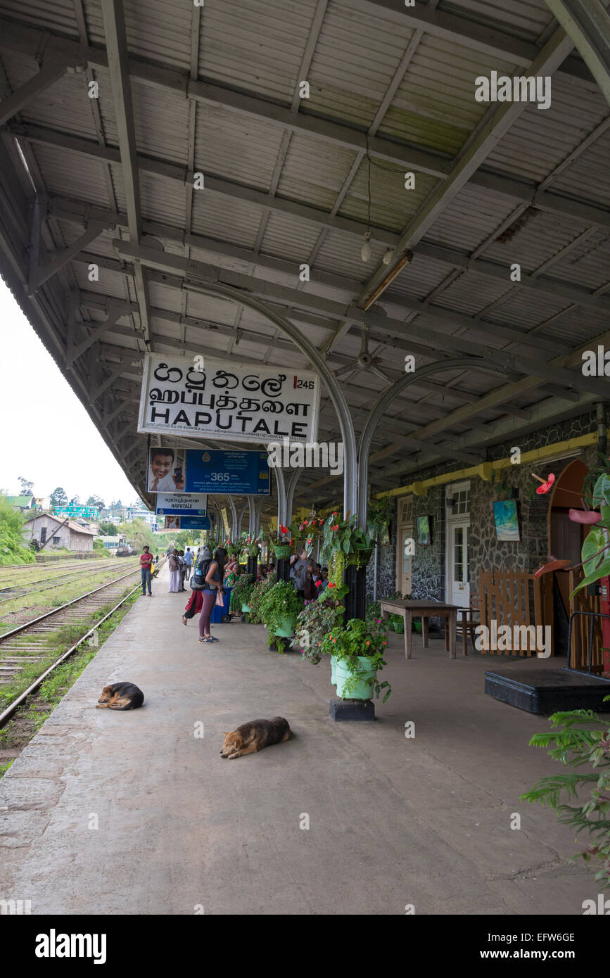 Town of haputale hi-res stock photography and images - Alamy