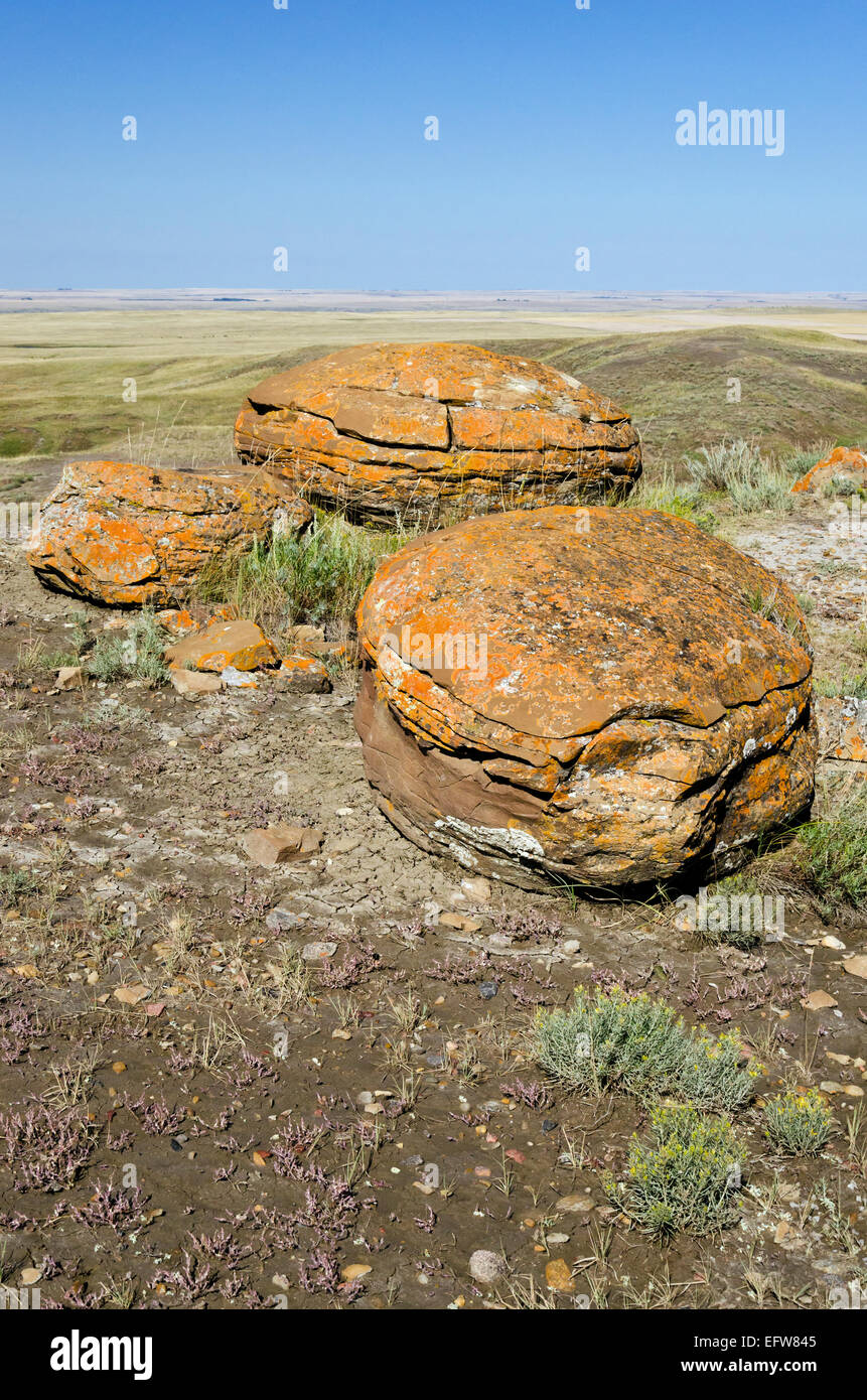 Three spherical sandstone concretions at Red Rock Coulee Provincial ...