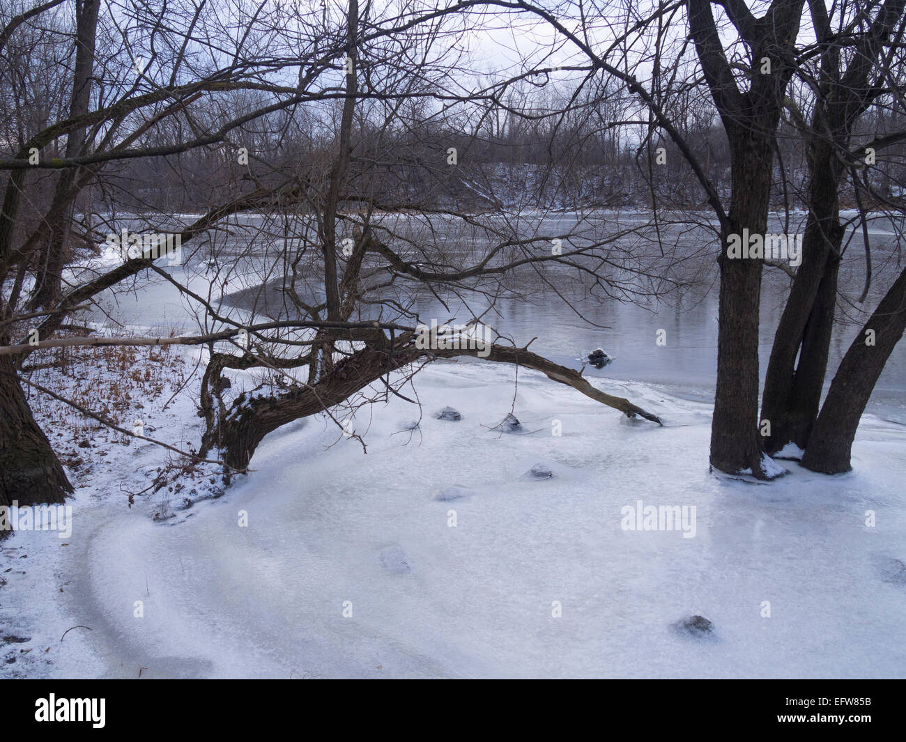 Trees and snow on river Stock Photo - Alamy