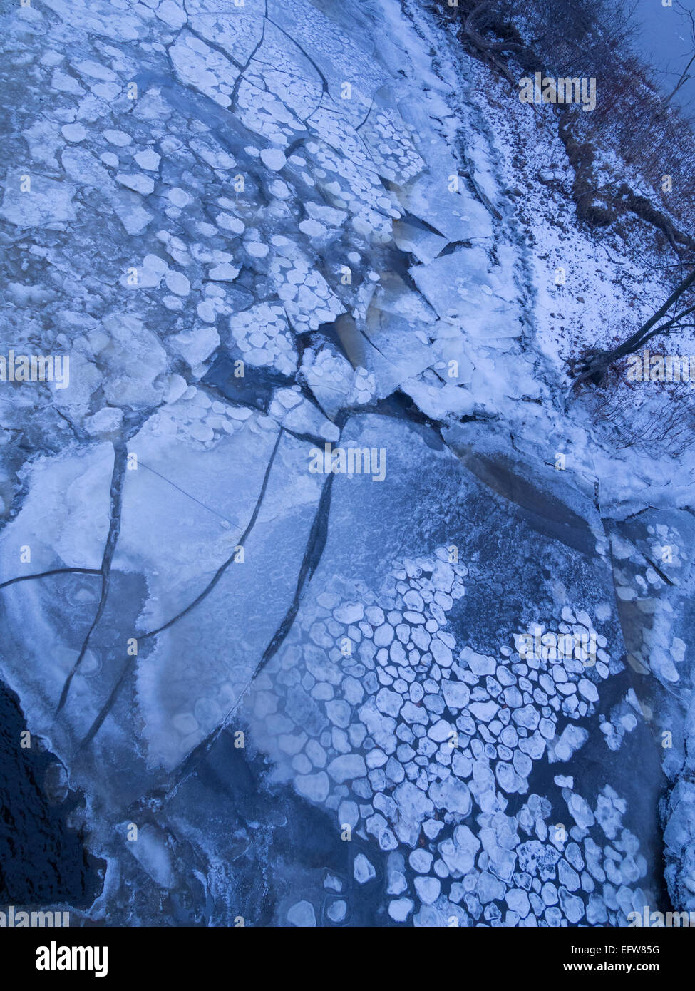 Ice cubes on water Stock Photo - Alamy