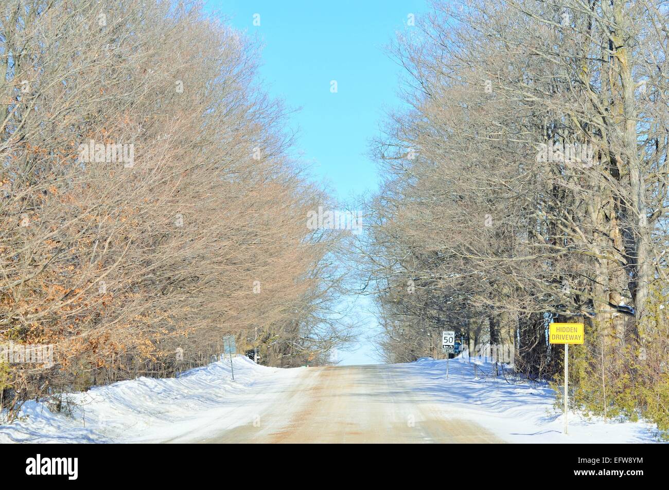 Snow road tree hi-res stock photography and images - Alamy