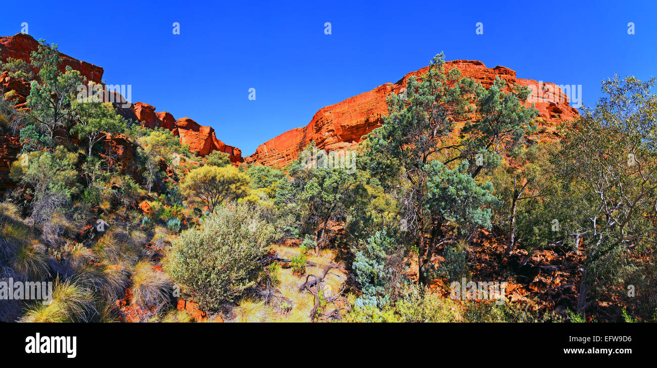 outback panorama Kings Canyon hiking lookout Australian Central ...