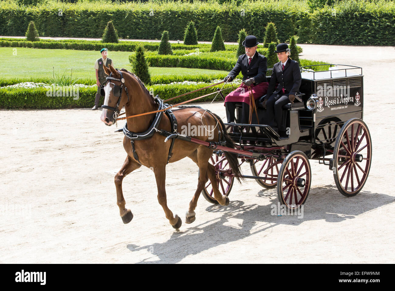 International competition for traditional carriages "La Venaria Reale ...