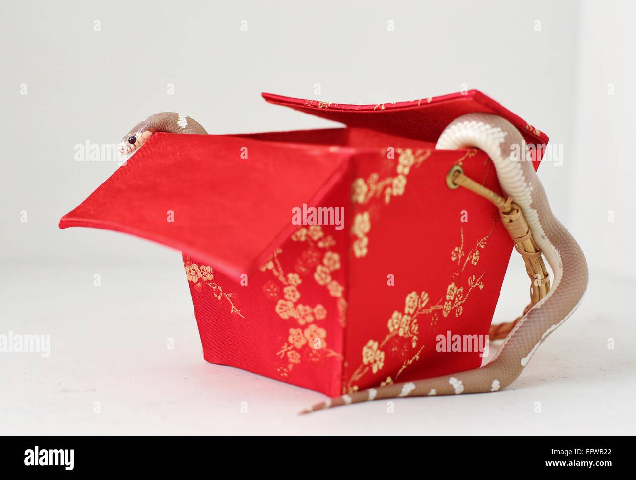 A snake coming out of a red box Stock Photo - Alamy