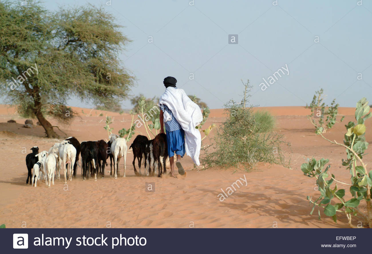 Mau Mau Africa High Resolution Stock Photography and Images - Alamy