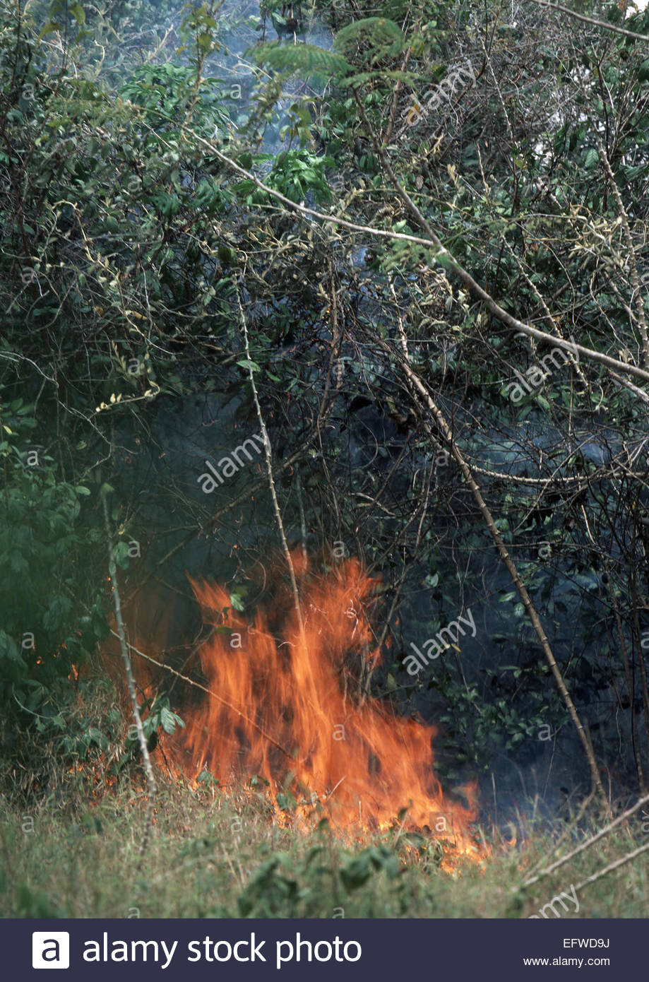 Africa Outdoors Nobody Fire Flame High Resolution Stock Photography and ...